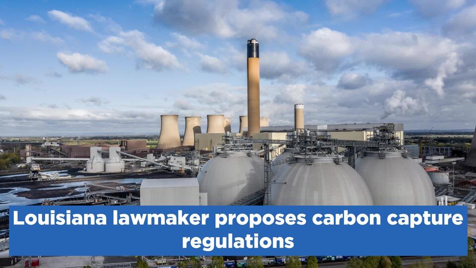 Crave Lab brings waffle desserts, specialty coffee to Baton Rouge ...