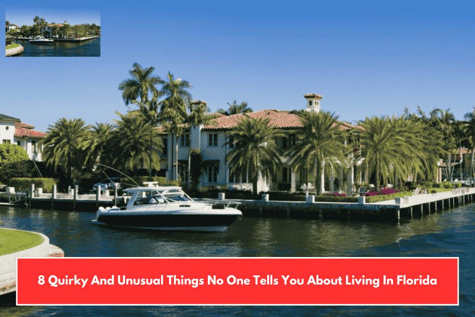 8 Quirky And Unusual Things No One Tells You About Living In Florida ...