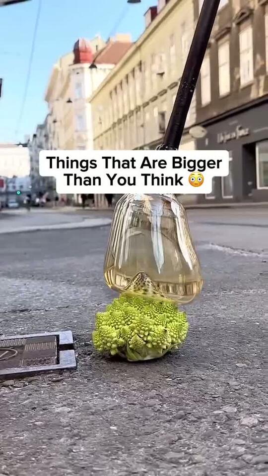 Things that are bigger than you think 😳 #things..._51678 - NewsBreak