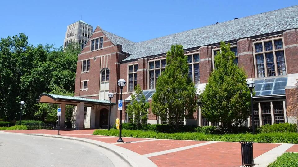 Officials issue warning as rapidly multiplying insects are first ...