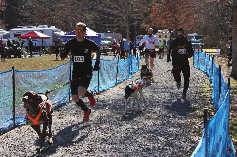 Dog Mushing Races Come to Acworth Trails - NewsBreak
