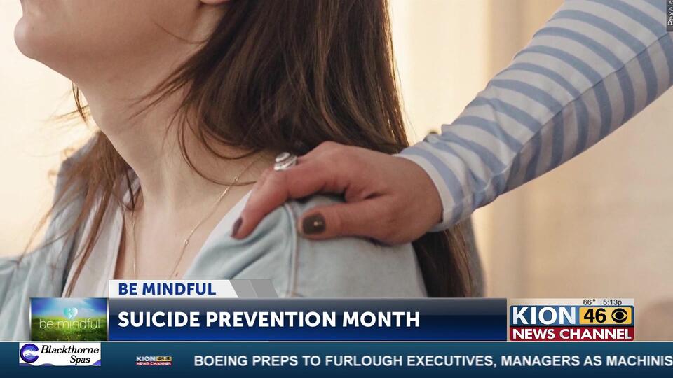 The warning signs of suicide ideation in light of Suicide Prevention ...