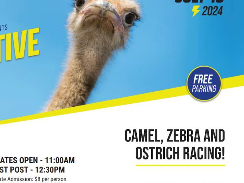 Exotic animal racing to kick off season at North Dakota Horse Park