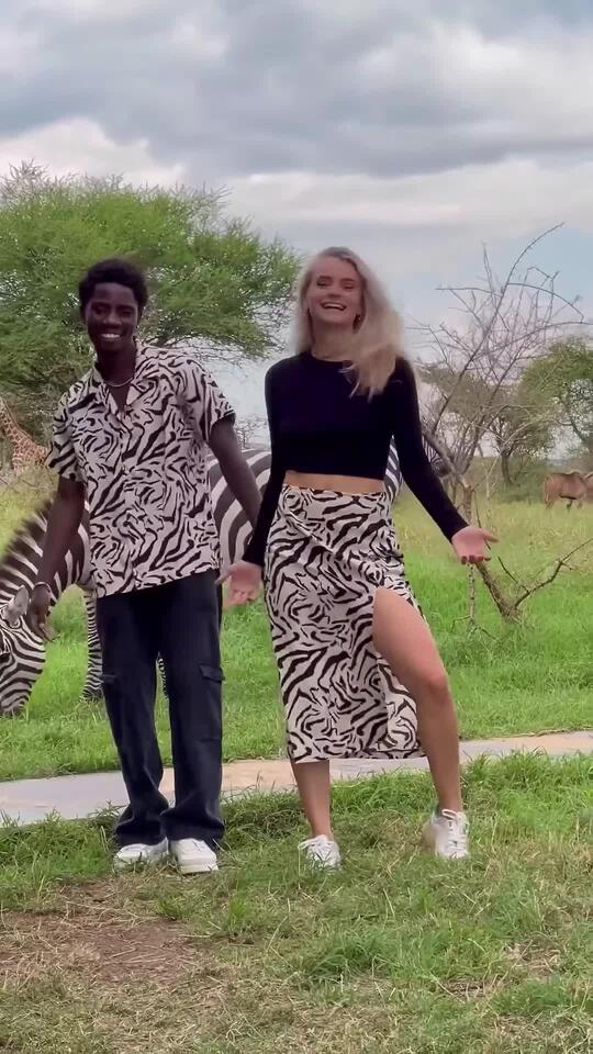 Zebras were matching us jaymondy safari couple africa dancemp4 - NewsBreak