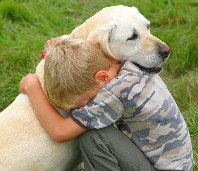 Humane Heroes program for kids at Alaqua Animal Refuge - NewsBreak