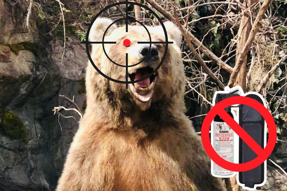 Is Your Gun Big Enough To Take Down A Montana Bear? - NewsBreak