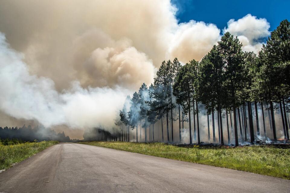 Oh, Canada, we can’t breathe down here—put out your fires already ...