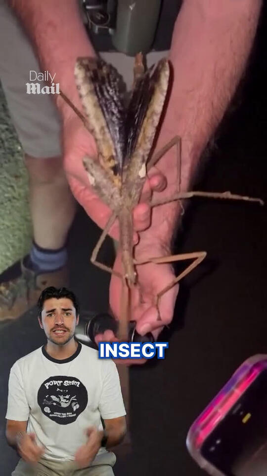 Australia just keeps finding ways to make us say nope A giant new ...