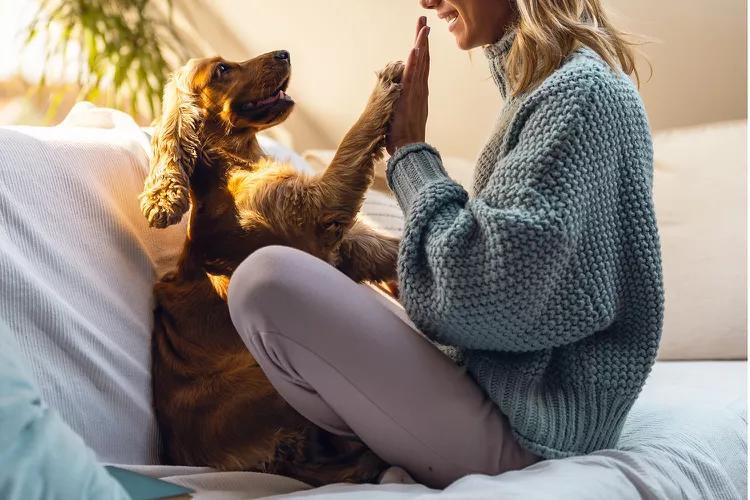 Dog Owner Argues Workplaces Should Give Employees Compassionate Time ...