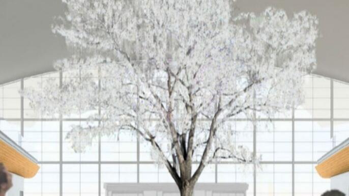 Sixty-foot-tall glass cottonwood tree may sprout at Denver ...