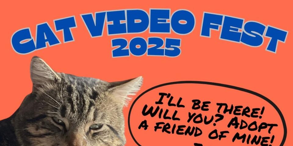CATVIDEOFEST 2025 Returns to The Park Theatre in August - NewsBreak
