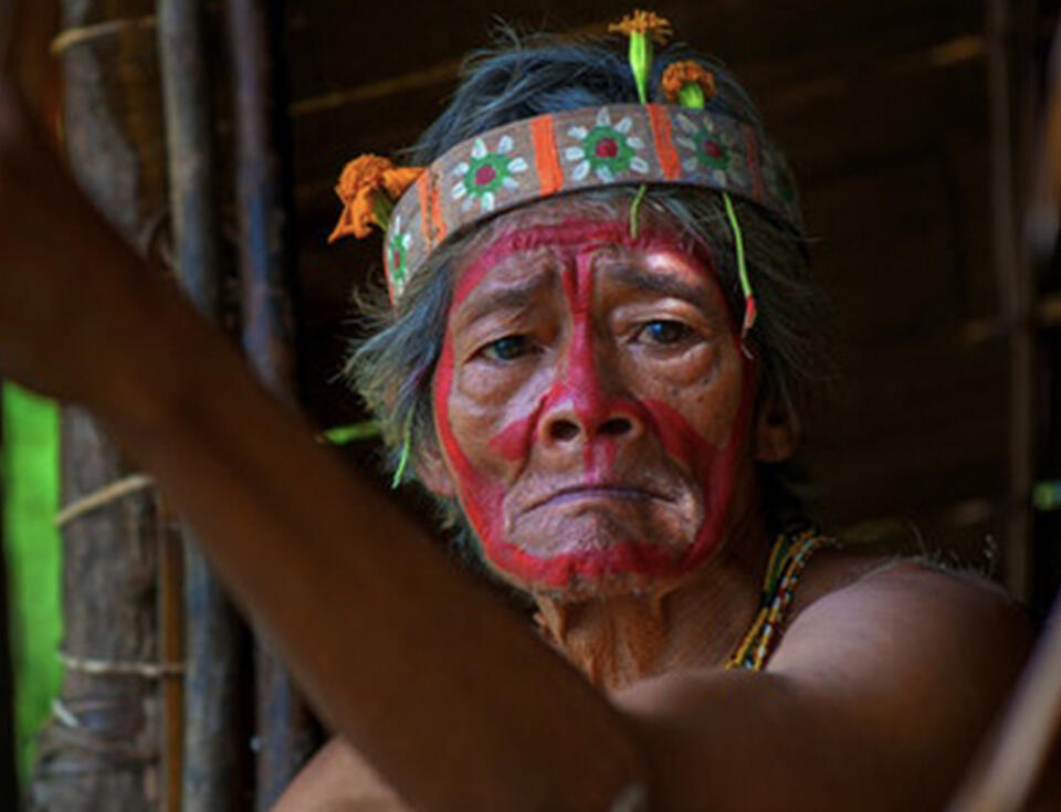 Scientists just discovered an Amazon rainforest tribe whose brains and ...