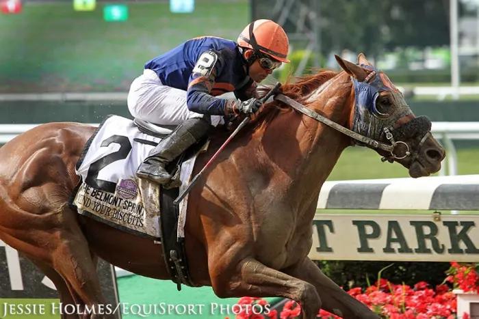 Aqueduct Spring Stakes Schedule: New York-Sired Stakes Renamed In Honor ...