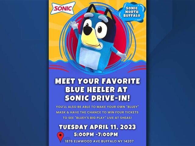 'Bluey' meet and greet to be held at Sonic Drive-In on Elmwood Avenue ...
