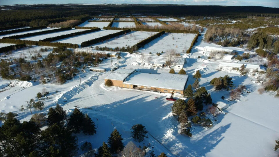 NexGold announces positive feasibility study update for Goliath gold ...