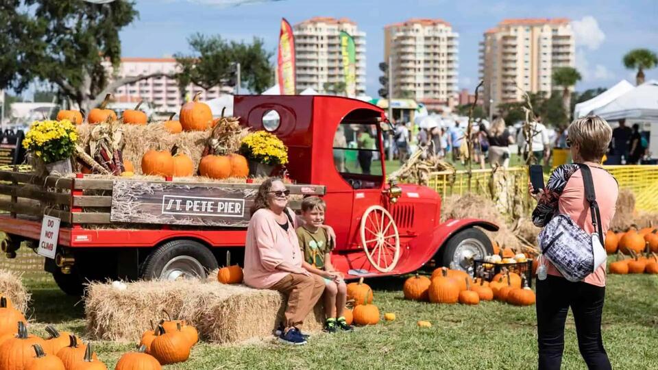 Ahead of Fall Festival, St. Pete’s most scenic pumpkin patch returns to ...