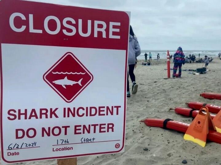 Shark attacks leave woman with amputated arm after 'significant trauma ...