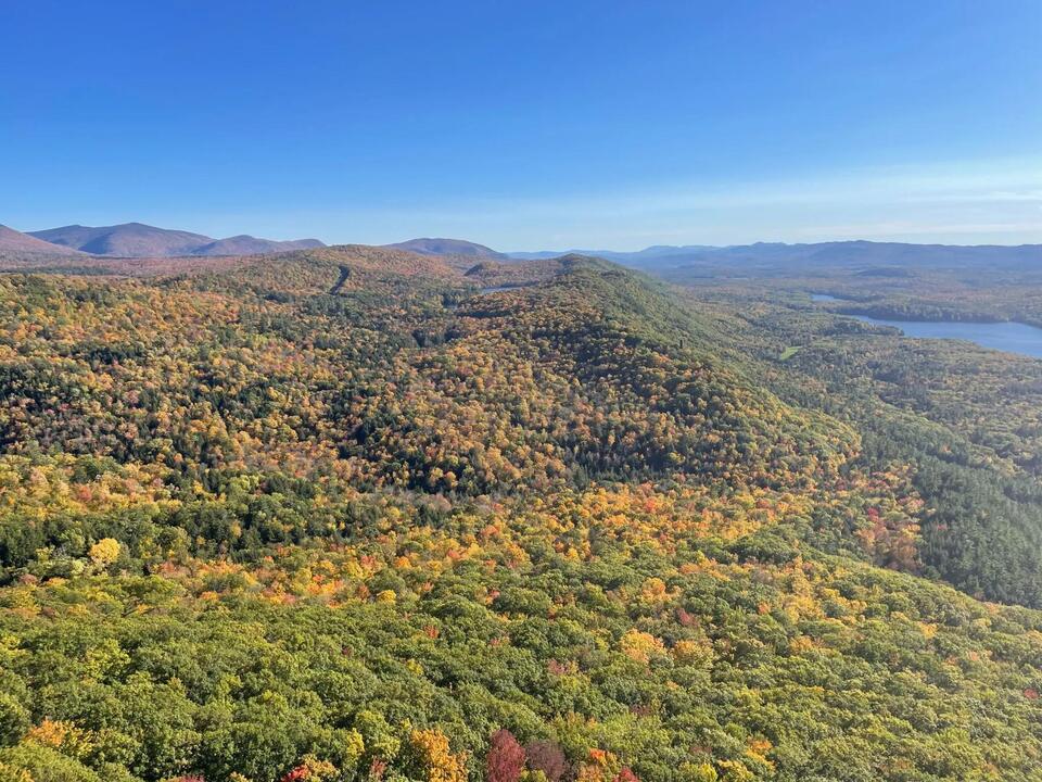 Public pushes back on US Forest Service proposal to use controlled ...