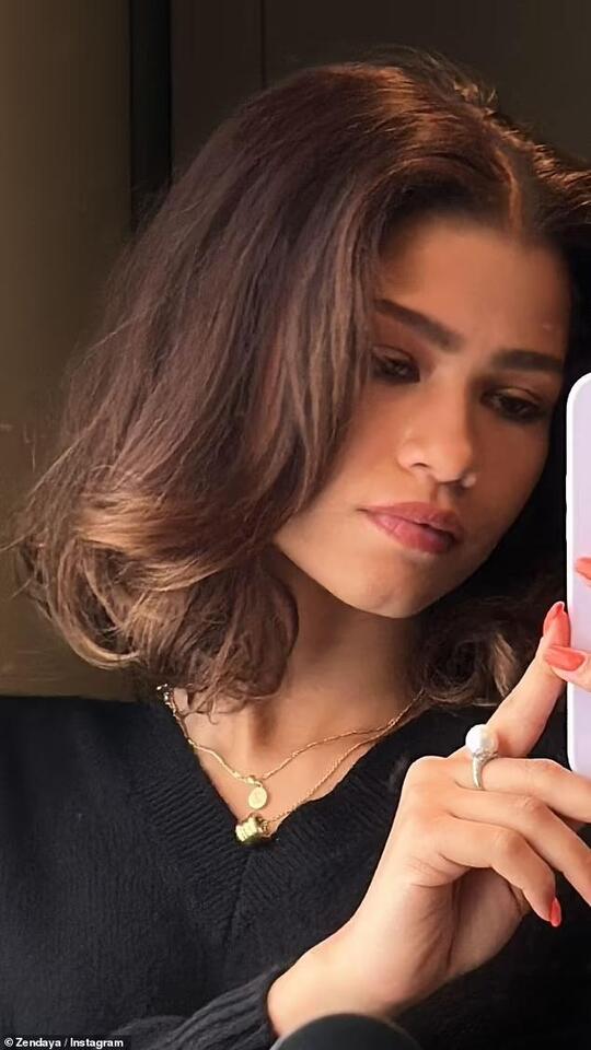 Zendaya teases her toned midriff in low-rise jeans as she snaps selfie ...