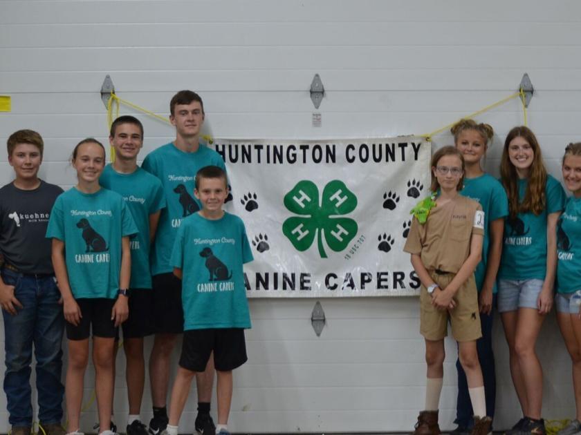 Dog show draws winning performances