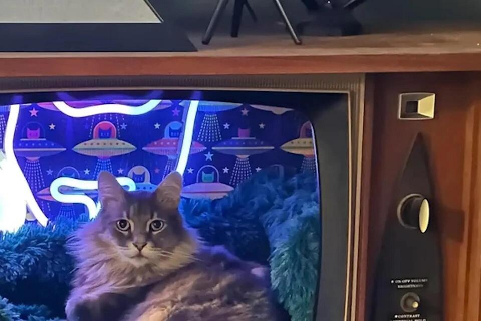 DIYer shares photos after transforming vintage TV console into ...