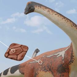 What Color Was Diplodocus? First-Ever Sauropod Fossils With Melanosomes ...