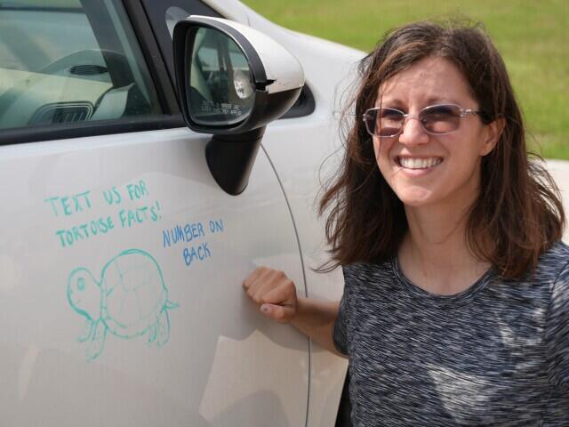 A turt-ally unique Uber for tortoises?