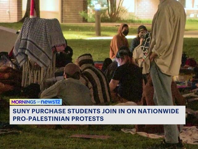 Police arrest around 70 people during pro-Palestinian protest at SUNY ...