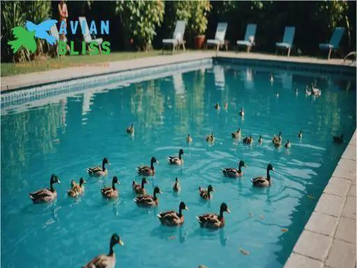 Keeping Ducks Out of Pools: 7 Shocking Tricks That Actually Work! (2024)