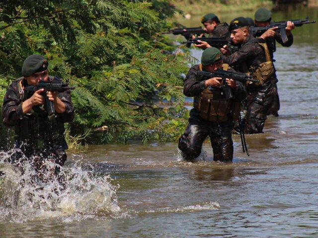 Guatemala Deploys Special Forces Soldiers After Mexican Cartel Forces ...