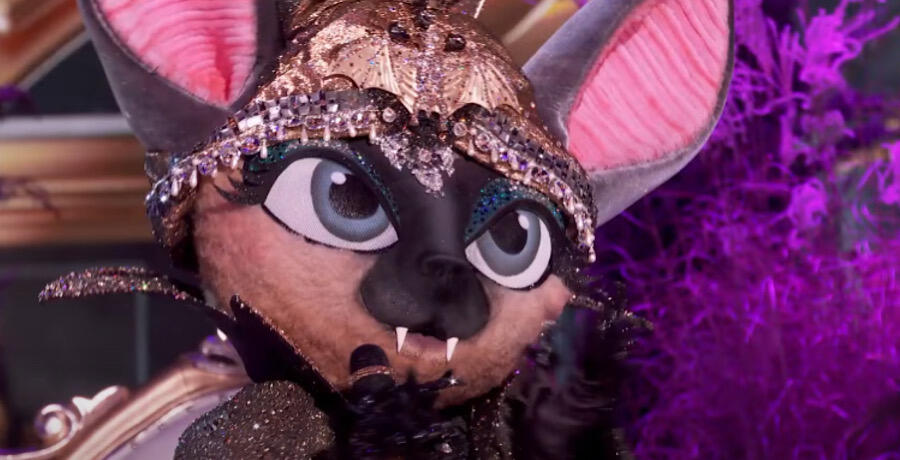 ‘The Masked Singer’: Who Is Bat? - NewsBreak