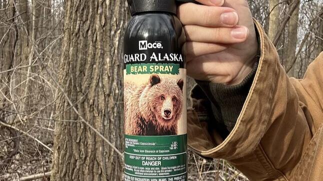 Florida Woman Strikes... With Bear Mace. - NewsBreak