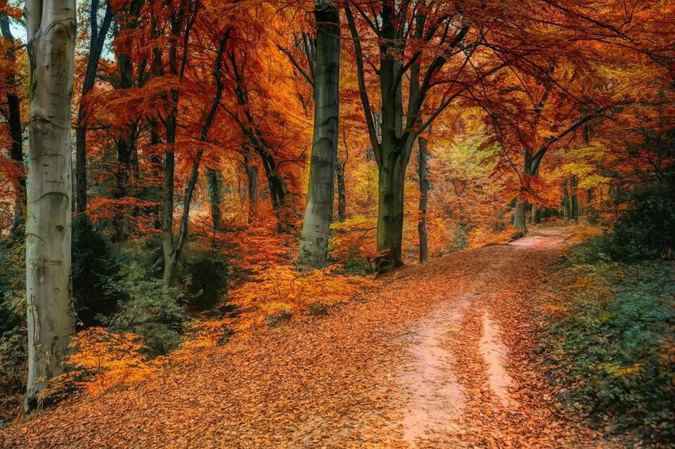 Top Fall Adventures in New Jersey - NewsBreak