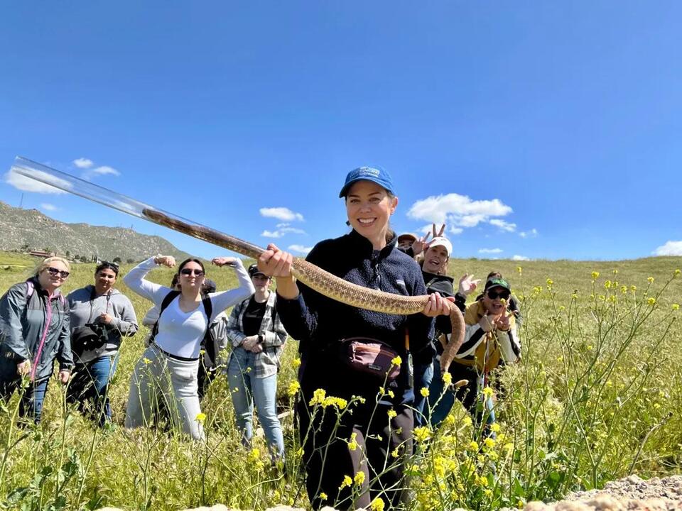 CSULB expands reptile biology studies with new assistant professor ...