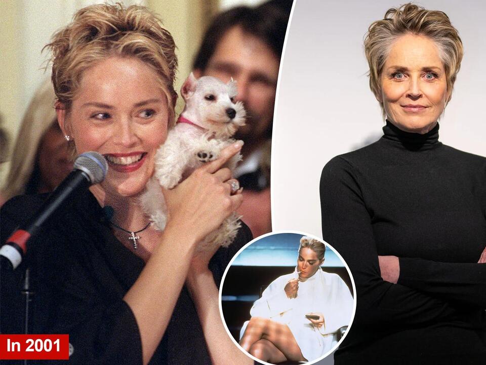 Sharon Stone ‘had zero money,’ lost $18 million after near-death stroke ...