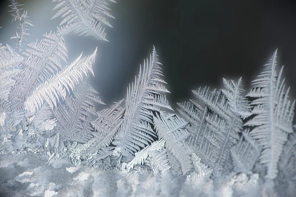 Tomorrow's Weather Winnipeg: Cold, Windy with Light Snow - NewsBreak