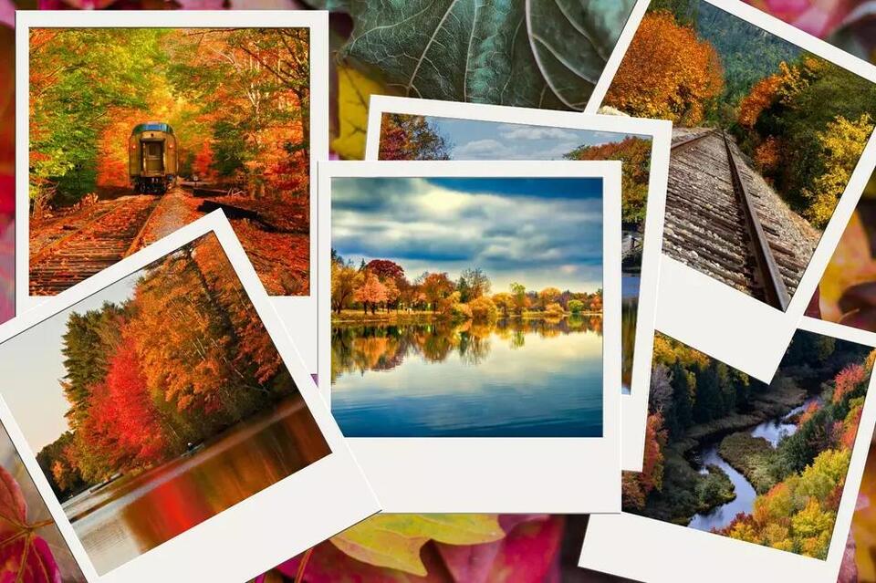 9 Best Fall Color Tour Train Rides in Michigan 2024 - NewsBreak