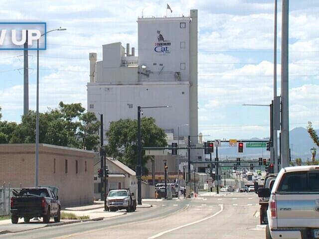 New lawsuit filed against Denver Purina factory for 'rotting carcass ...