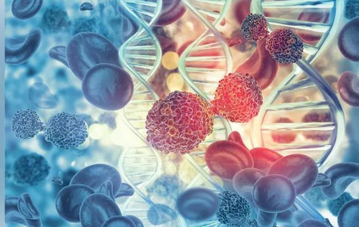 New Study Reveals Gene Discovery Could Unlock New Treatments for Bowel ...