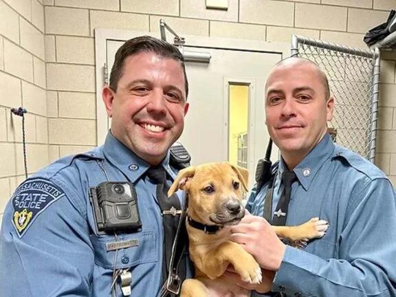 Suffolk DA unveils animal cruelty task force