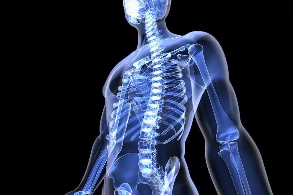 The Six Body Parts We Don’t Really Need - NewsBreak