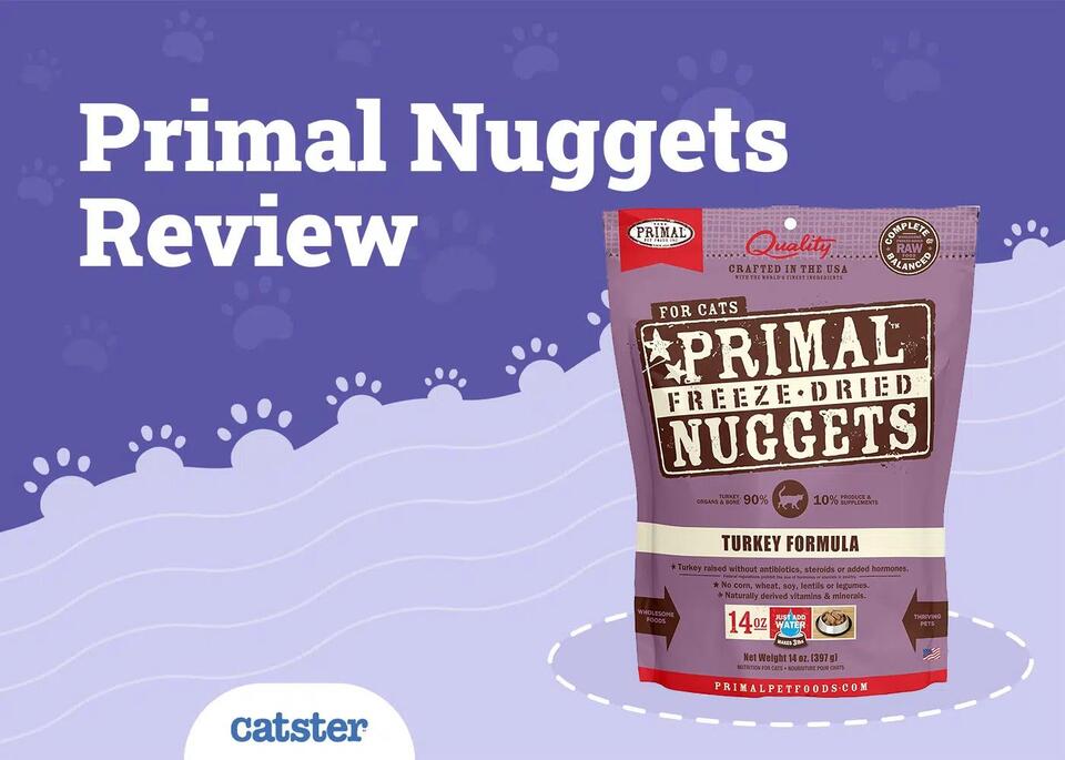 Primal Cat Food Review of 2025: Recalls, Pros & Cons - NewsBreak
