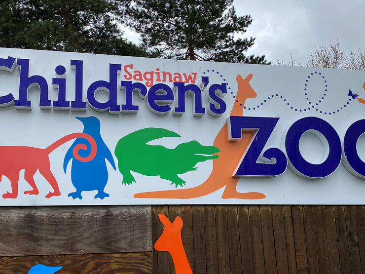 Driver crashes through fence into wolf exhibit at Saginaw Children's Zoo