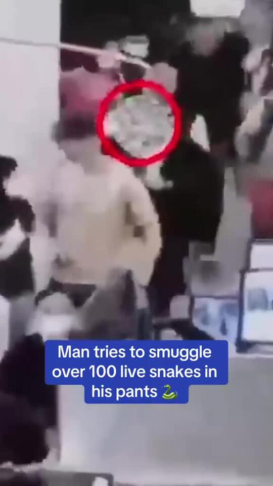 Chinese customs apprehended a man after he tried to smuggle more than ...