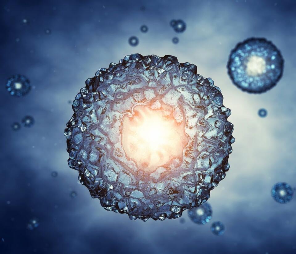 Human embryo development mapped daily for the first time - NewsBreak