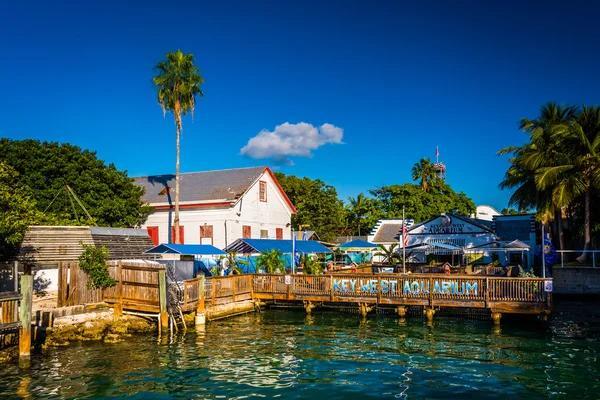 20 Florida Keys Islands to Explore - NewsBreak