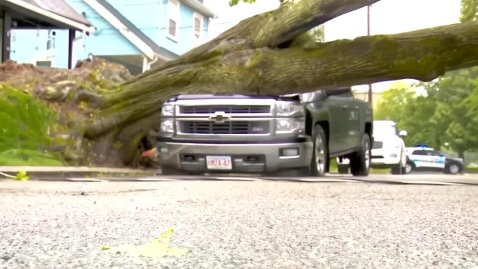 A New England Windstorm Took Down Trees, Power Lines, and A Few Unlucky ...