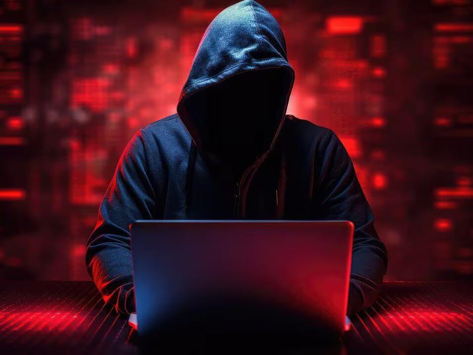 Indian Court Orders Scam Websites Using Crypto Exchange Mudrex's Name ...