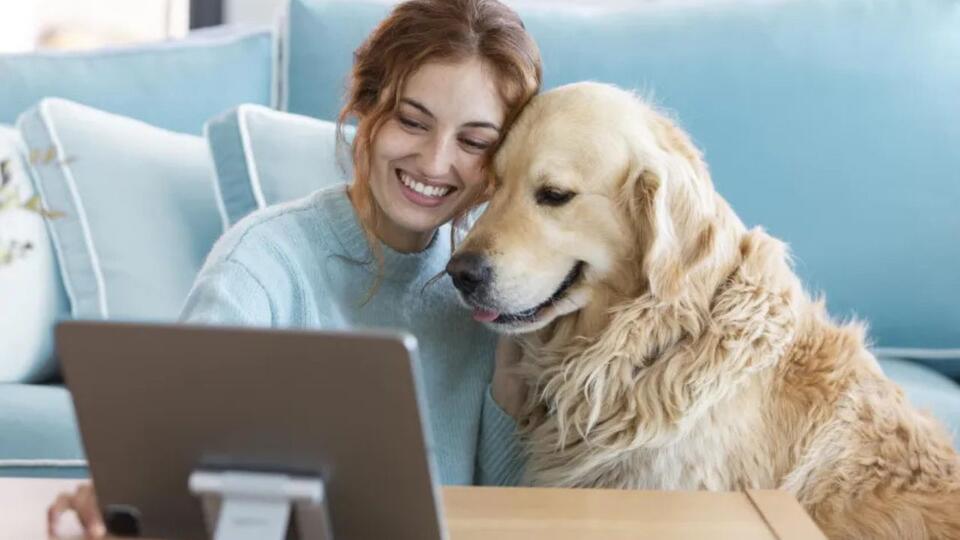 Pet Owners Are Spending Record Amounts on Insurance for Animals - NewsBreak