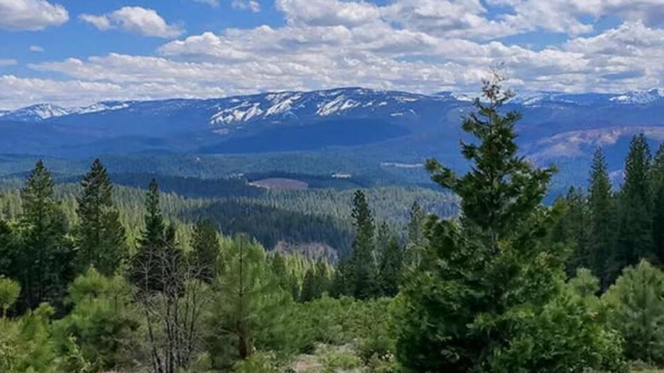 U.S. Forest Service opens Antelope, Bucks, Frenchman and other Plumas ...